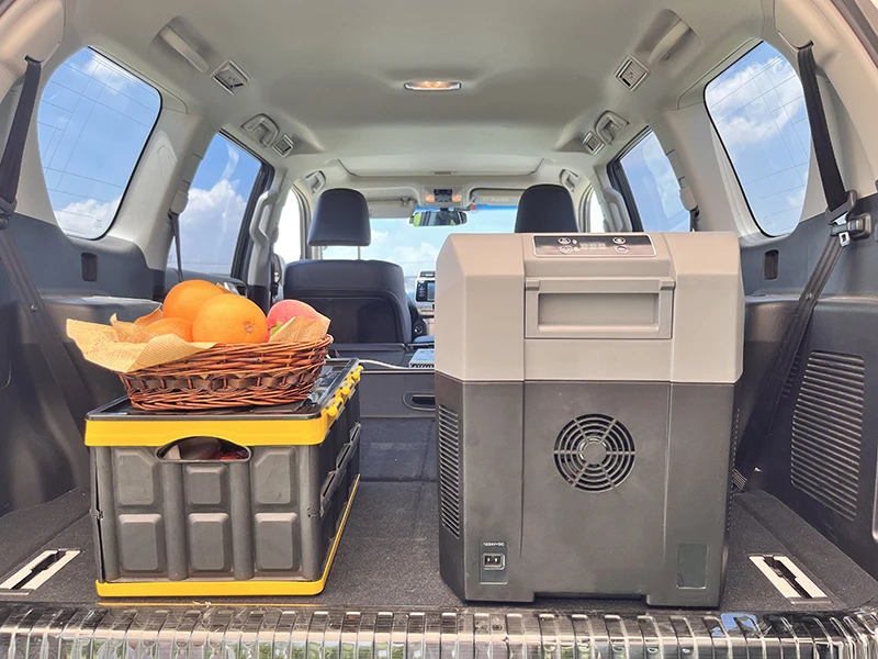 High Quality 12V Camper Fridge Beach Refrigerators 33L Compressor Fish ...