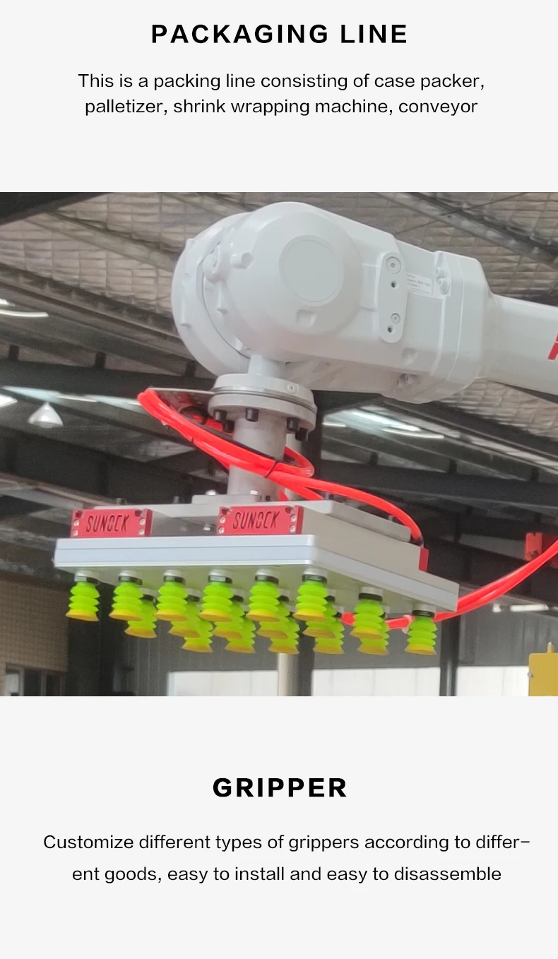Robot Palletizer for Cartons Palletizing Robotic Palletizing System ABB ...