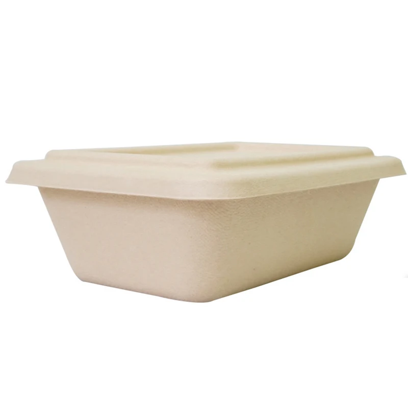 Eco Choice Biodegradable Bagasse Food Container - Buy Bagasse Food ...