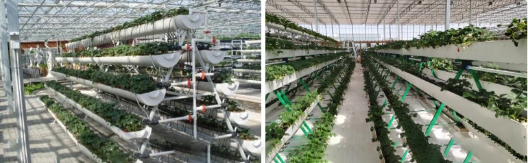 Vertical Grow Stacks Vertical Tower Planter Farming Grow System Plastic ...