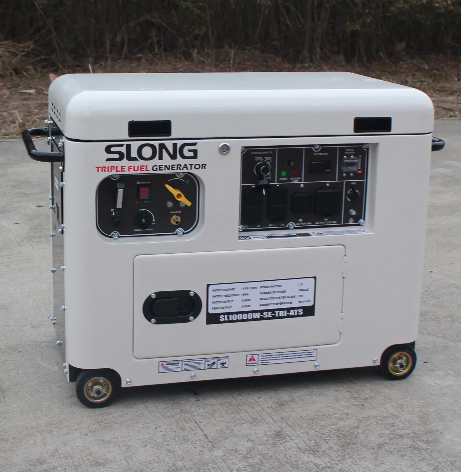 Slong Gasoline/lpg/cng Generator Multi-fuel Electricity Generator - Buy ...
