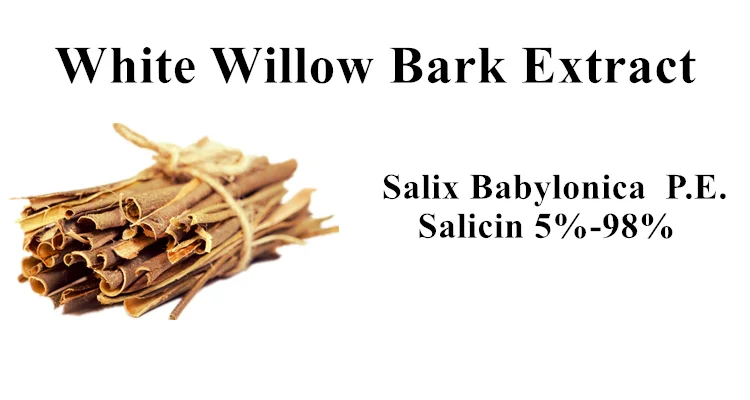 Iso Factory Supply White Willow Bark Extract Salicin Wholesale Salix ...