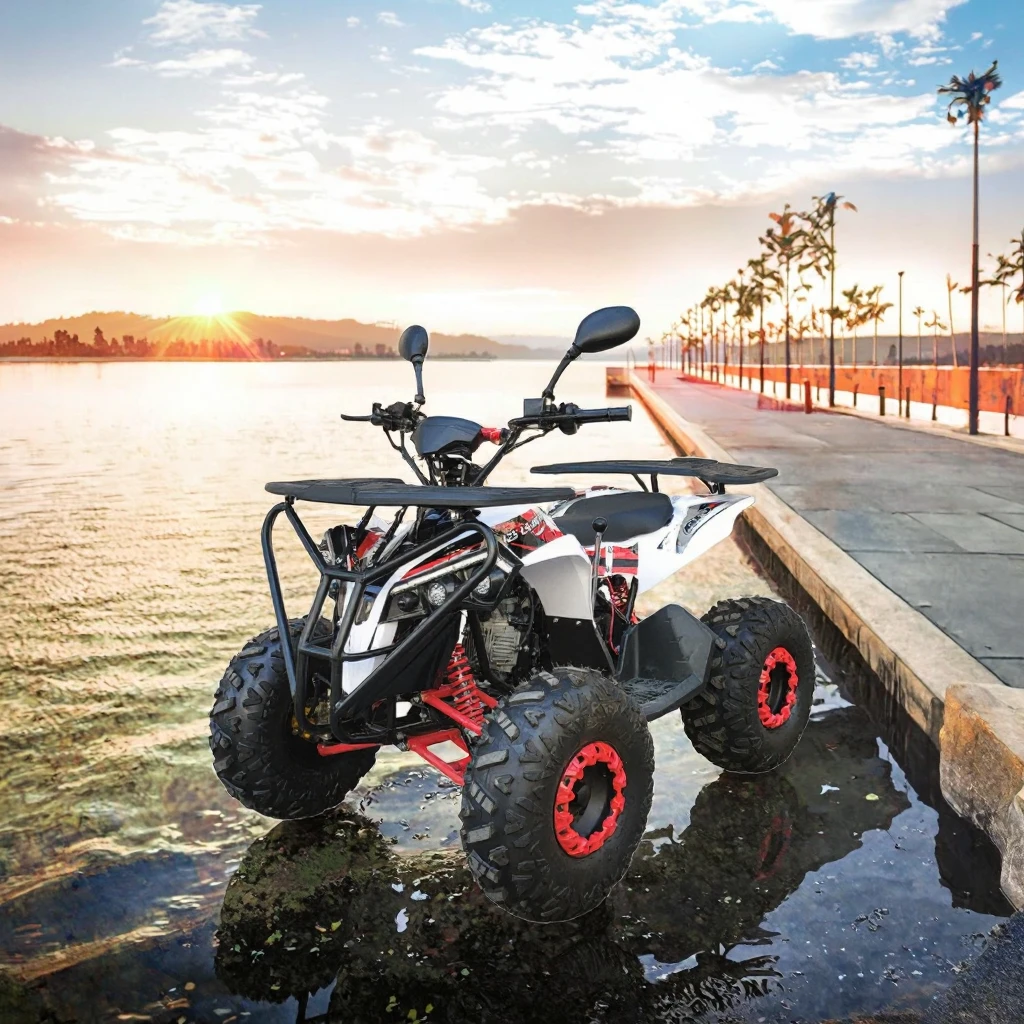 110cc Chain Drive Automatic Quad Bike 4-Wheeler Fuel Electric Vehicle ...