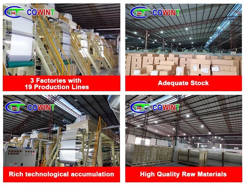 Cowint Double Matte Instant Peel DTF Film - Perfect for T-shirts