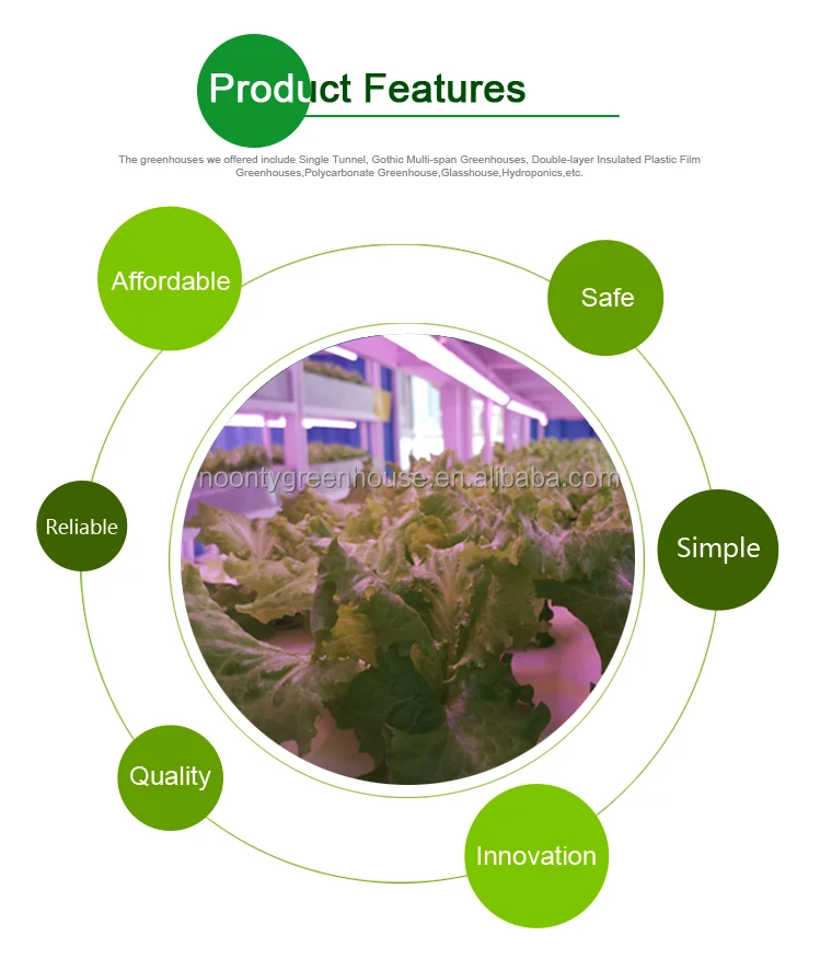DFT Hydroponics Aquaponics System for Vegetable & Fish