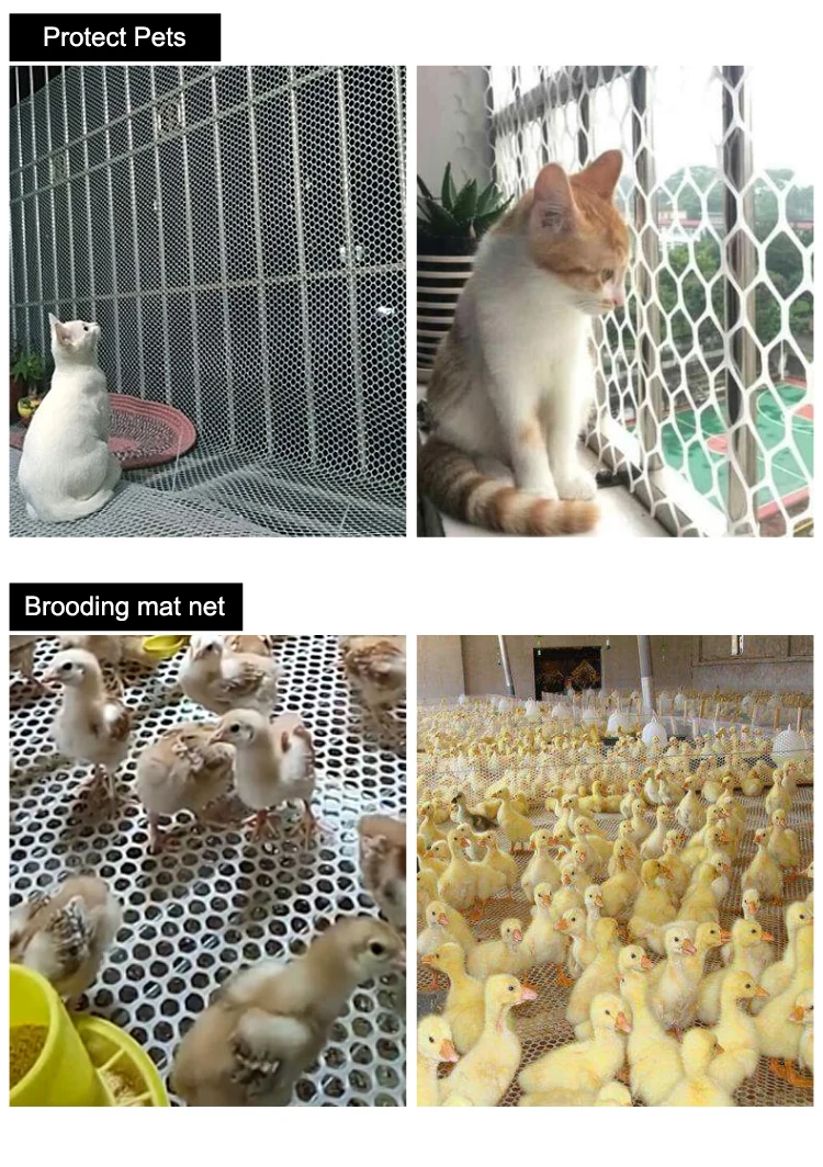 Livestock Chicken Net Broiler Egg Chicken Plastic Ground Net