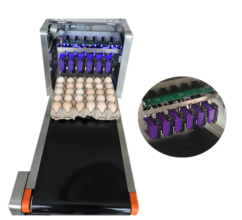 Custom Support Chicken Egg Printing Machine / Egg Coding Machine / Egg ...