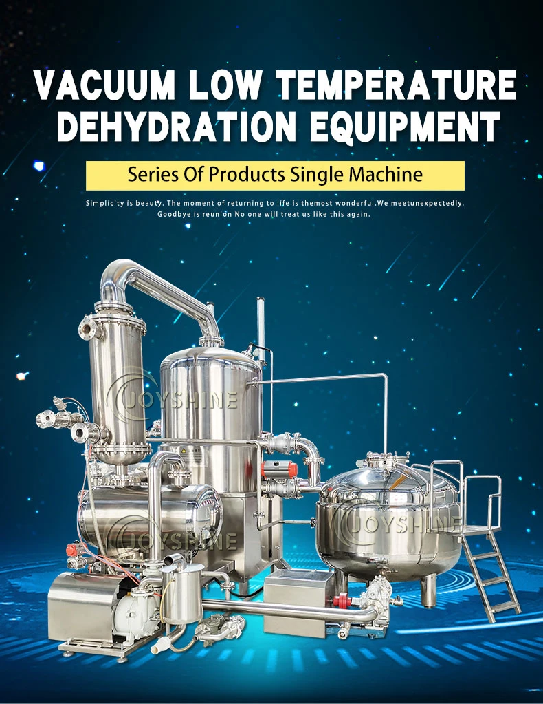 Vegetables and Fruit Seafood French Fries Chicken Vacuum Frying Machine ...