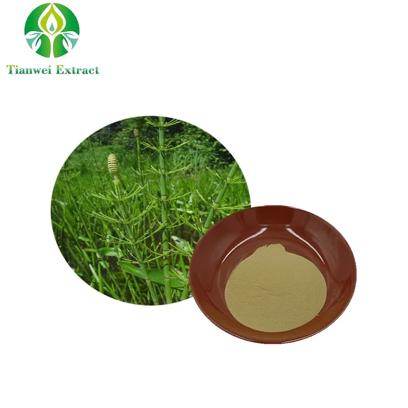 Equisetum Arvense Extract Equisetum Arvense L. Horsetail Extract 7% ...