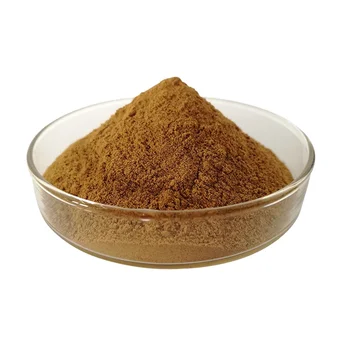 Herbasea Supply High Quality Extract Powder Date Kernel Extract - Buy ...