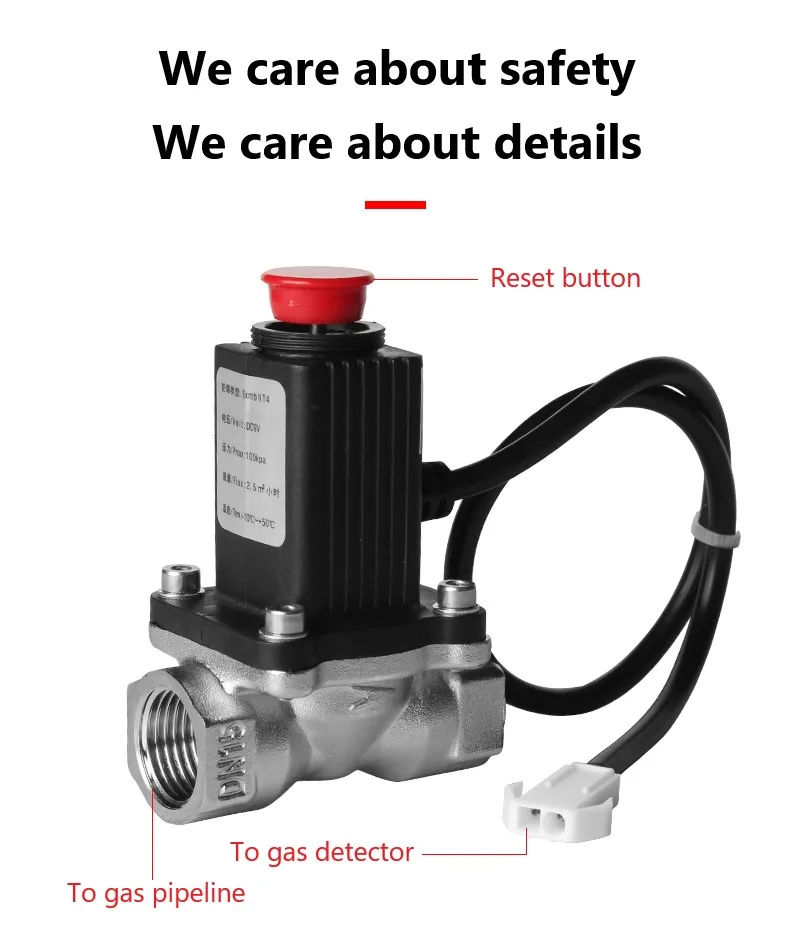 Wholesale DC Emergency Relay Valve Shut off LPG Safety