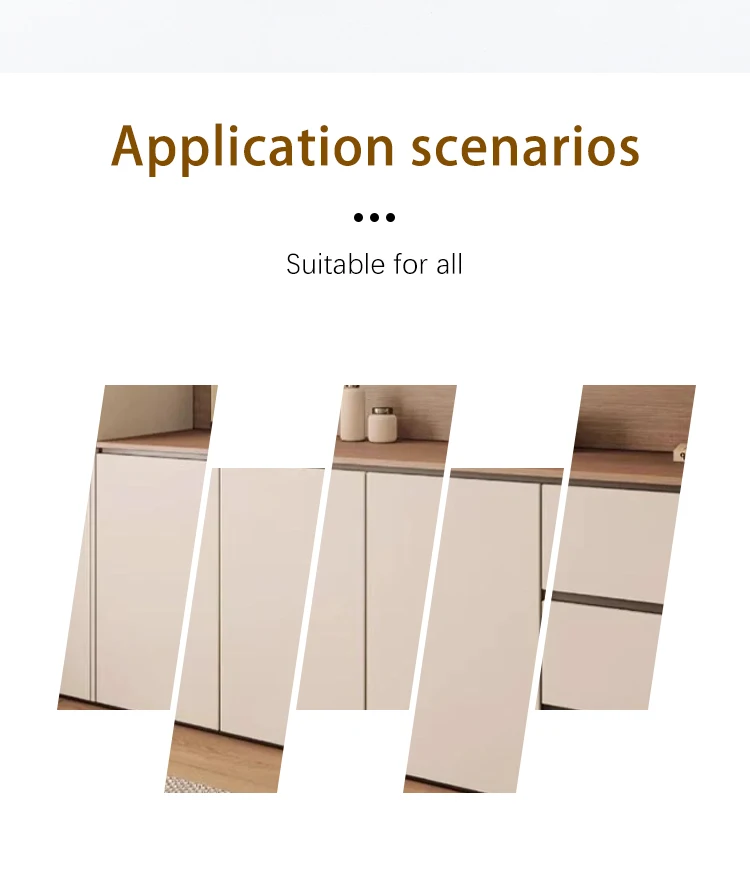 Beetle Sliding Push Pull Door Latch Rebounder Device Touch Cabinet ...