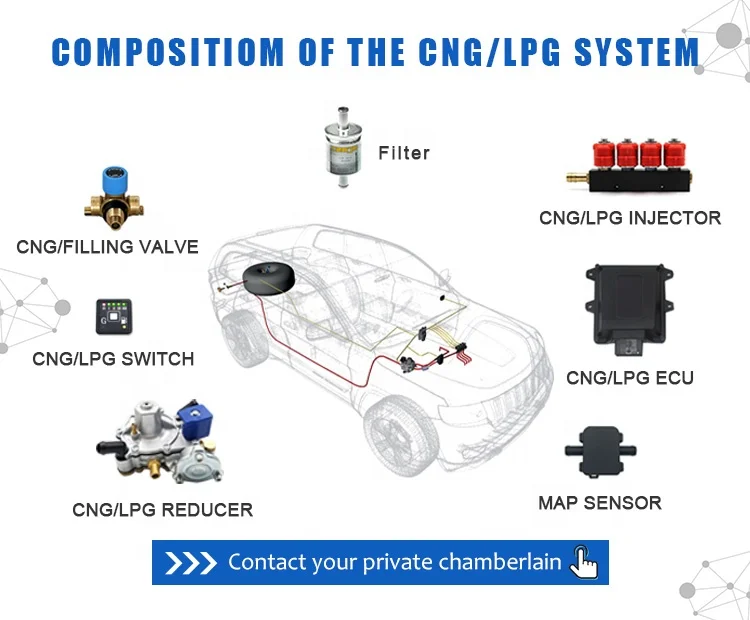 Nigeria Market CNG Sequential Injection Convertion Kit KEKE Motorcycle ...