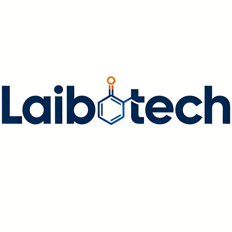 Company Overview - LAIBO-TECH GROUP LIMITED