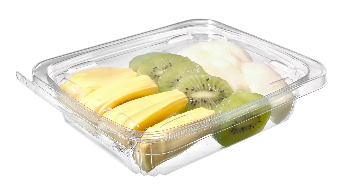 Disposable Plastic Rectangle Fresh-cut Fruit Salad Container Vegetable ...