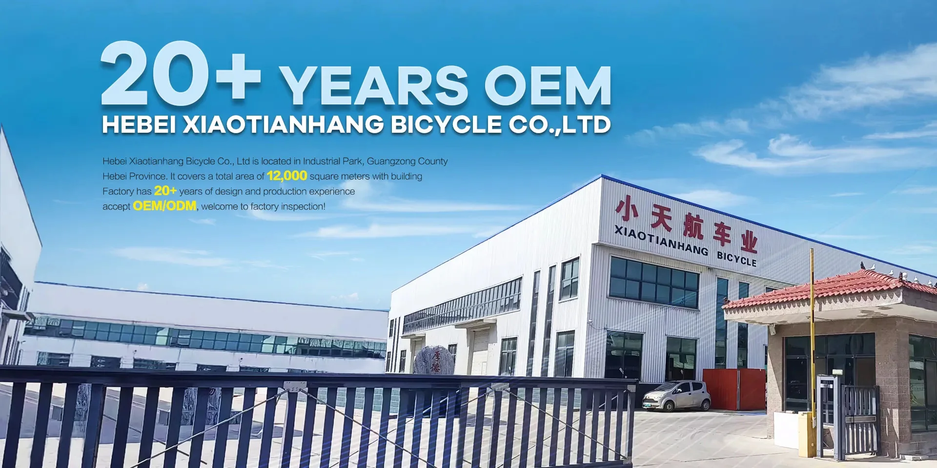 Xthang Wholesale Sport 20 Inch CNC Aluminum Rim Dirt Bike for Kids 9 ...