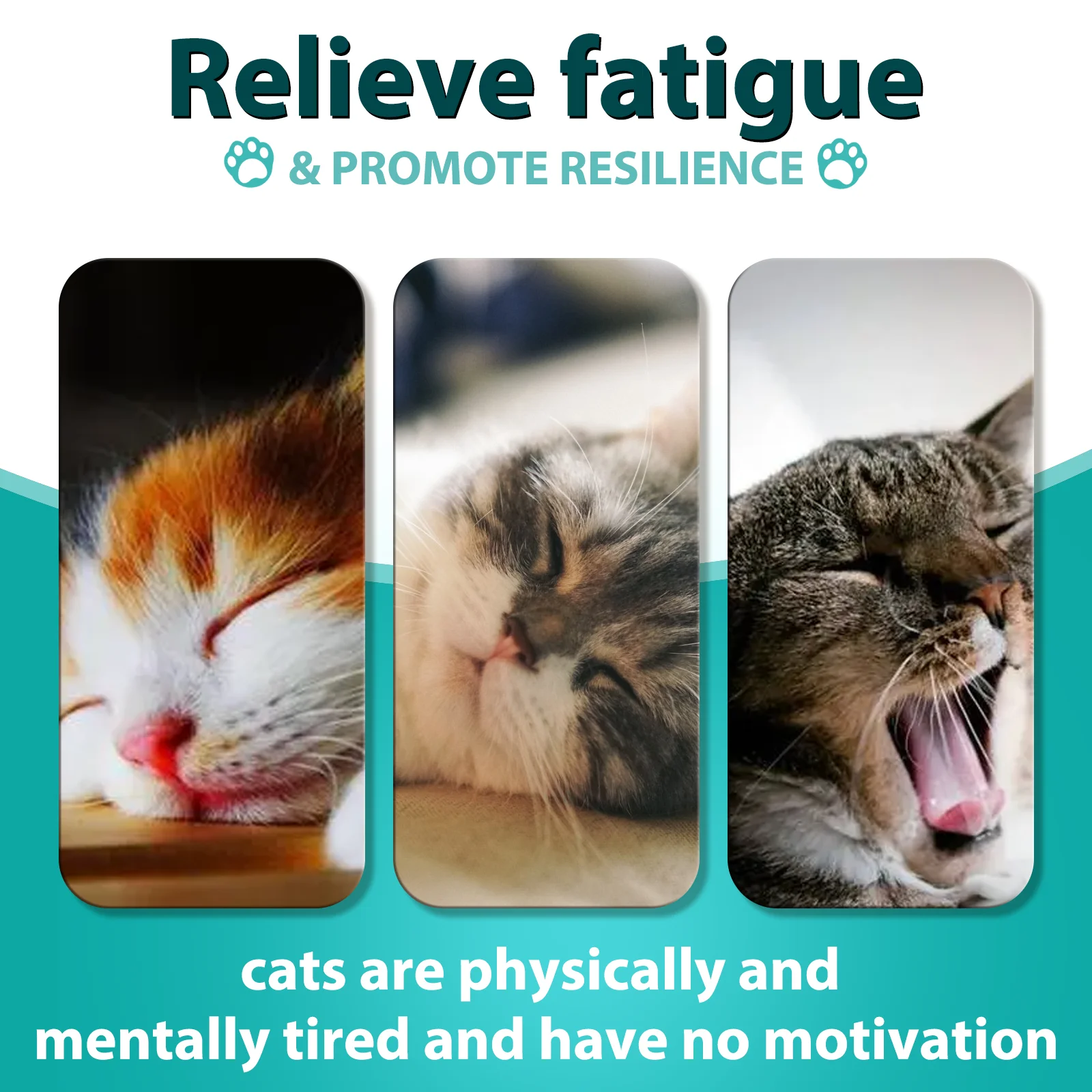 OIMMAL 200 Soft Chews - Calming Hemp Treats for Cats