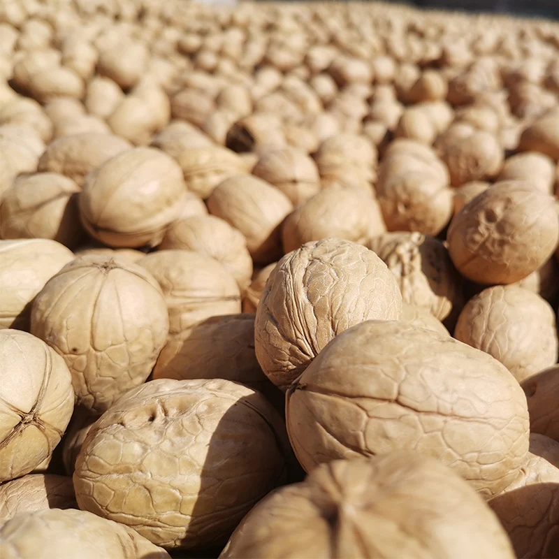 Chinese Walnuts In Shell Bulk Walnuts Kernels Buy Walnuts In Dubai