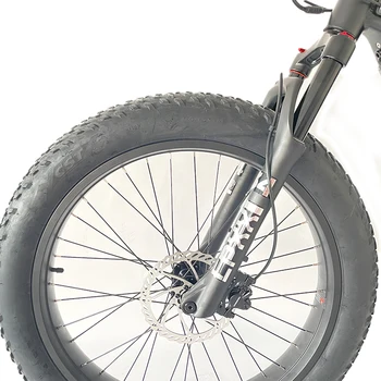 Berserk 11 Speed Fat Tyre Ebike Freego Hydraulic Disc Brake (hydraulic ...