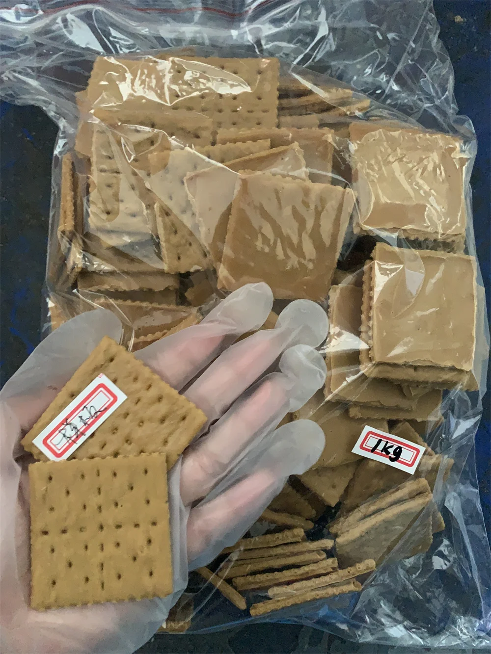 Fake Graham Crackers - Sodas Biscuits Artificial Model