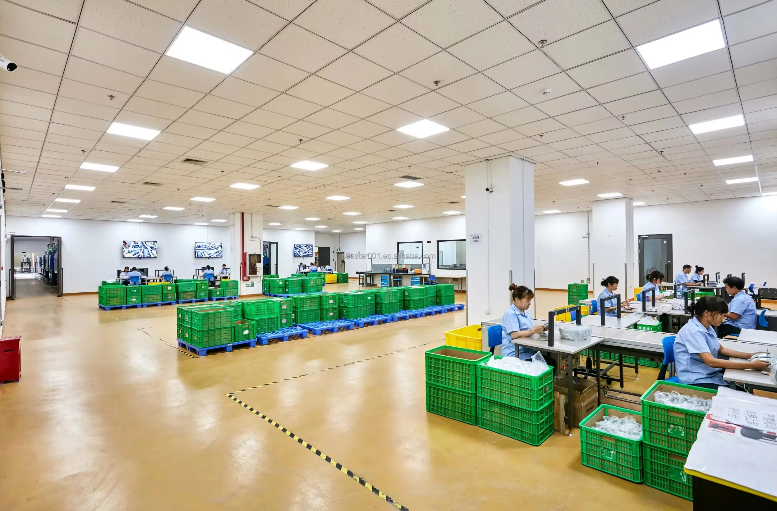 Hot Sale New Zealand Abalone Shell Polished Natural Seashell for Home ...