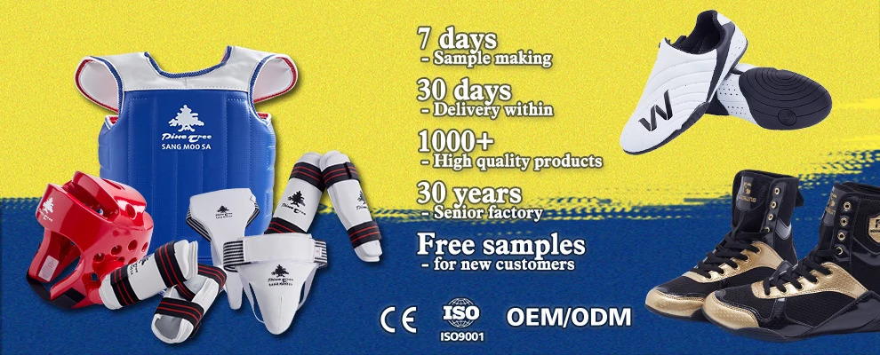Woosung Groin Guard - Durable Taekwondo & Samurai Protector
