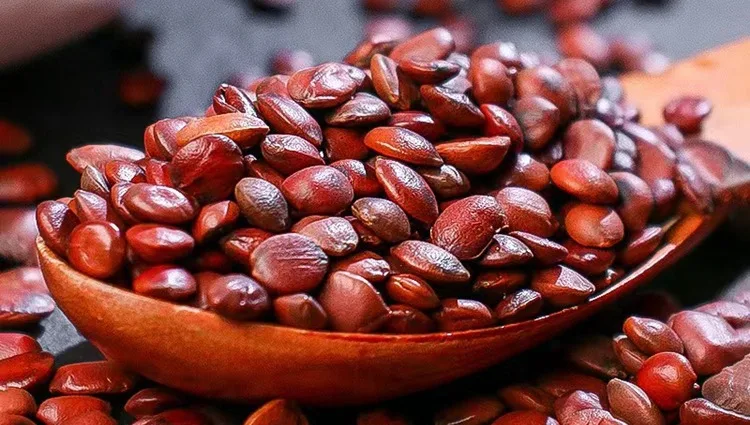 Suan Zao Ren Bulk Semen Ziziphi Spinosae Herb Spice Dried Wild Sour ...