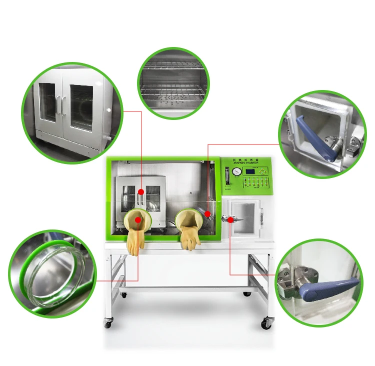 Laboratory Anaerobic Chamber Workstation for Bacteria Culture ...