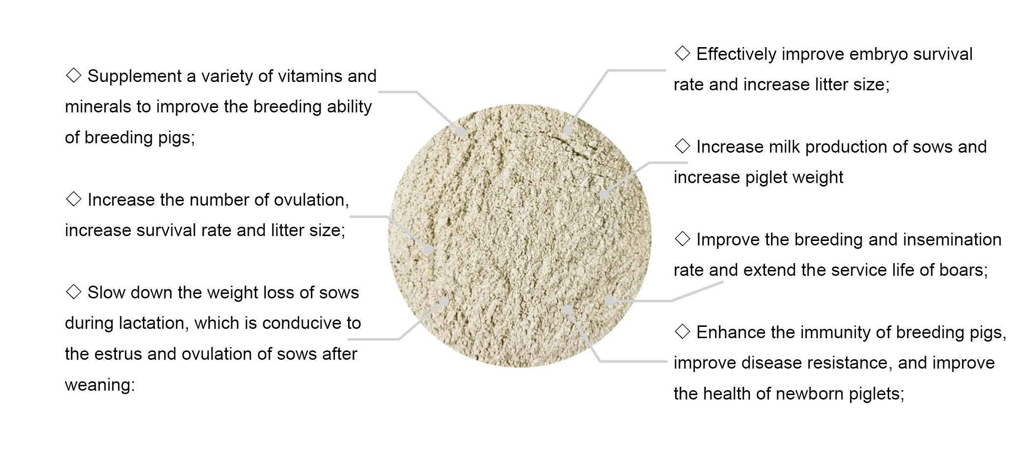 Growth Booster Fast Gain Weight Pig Feed Premix - RCPET