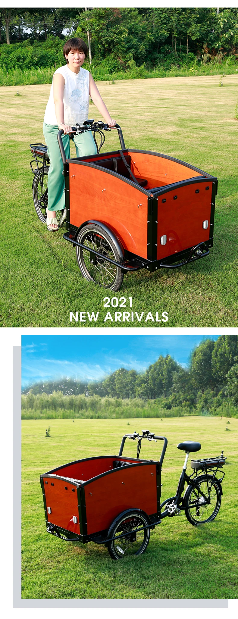 Cargo Bike Electric Tricycle - Adult Tricycle with 3 Wheels