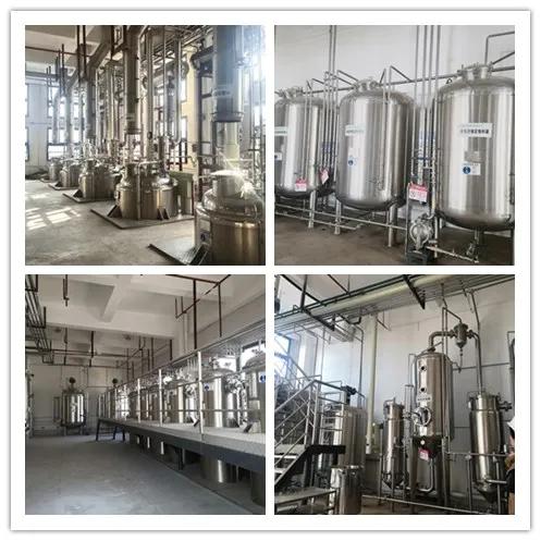 Bacopa Monnieri Extract 5:1 10:1 20:1 Bacopasides 50% Powder - Buy ...