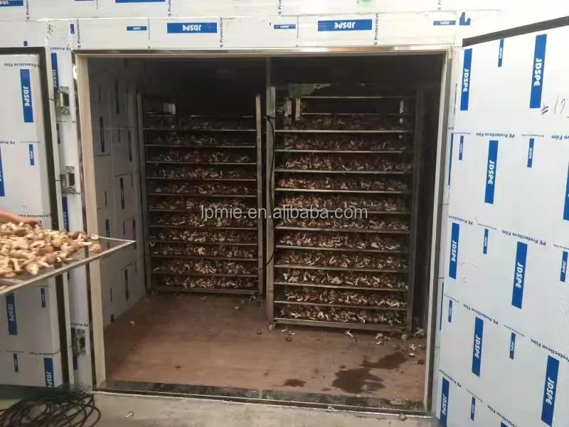 Large Fruit And Vegetable Lemon Dried Strawberry Dry Electric Heating Drying Room - Buy Drying ...