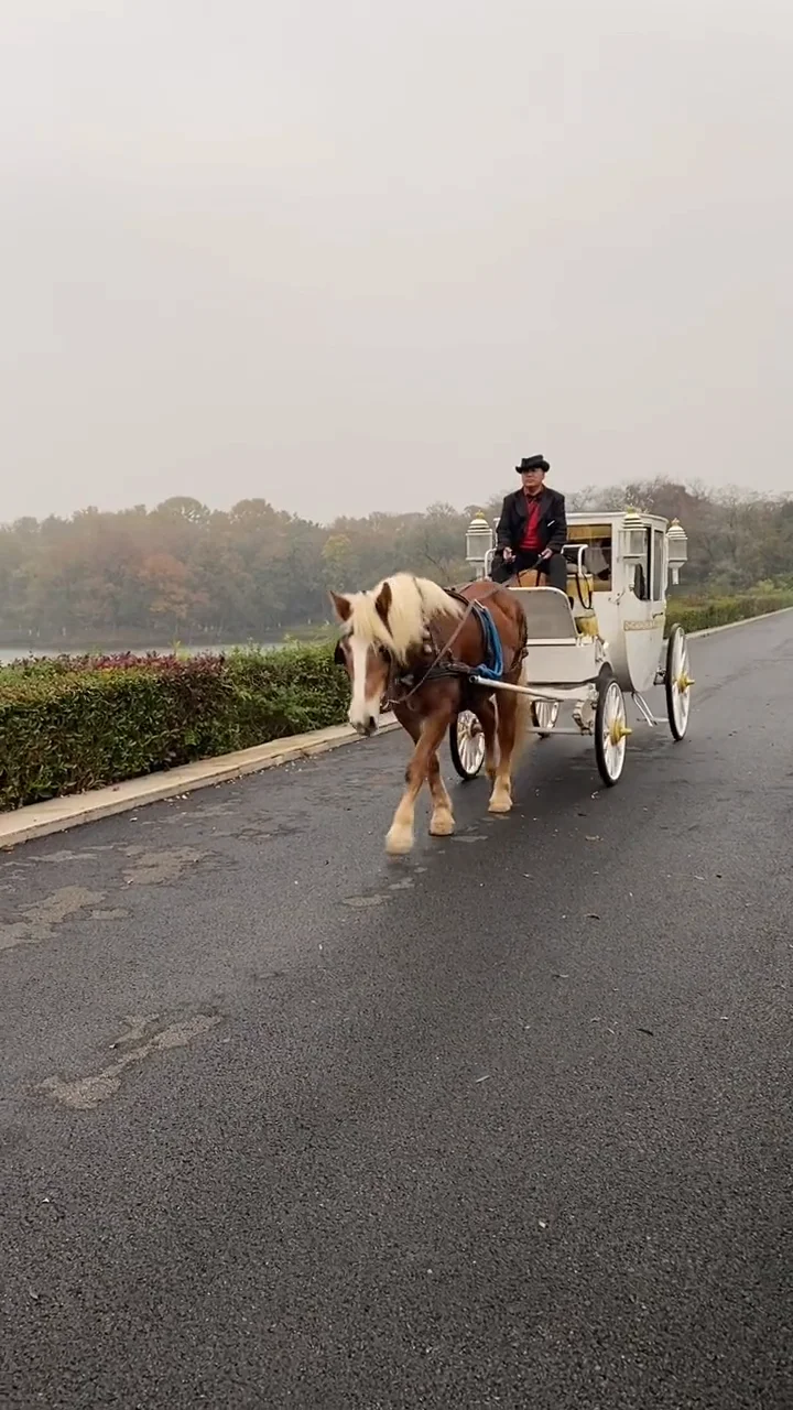 Funeral Hearses Limousines/hearse Trailer/funeral Service Car Classic ...