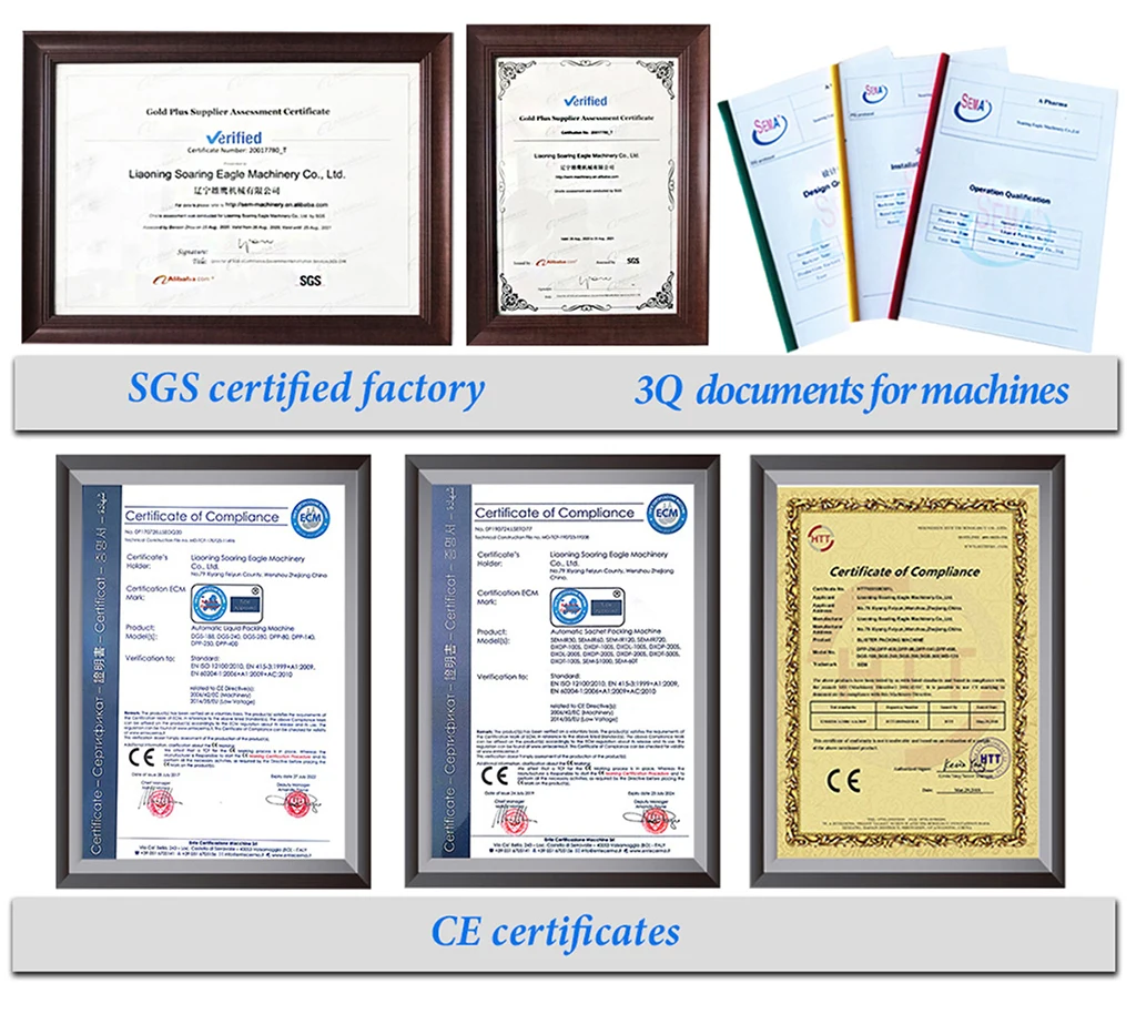 Automatic Easy Open Sachet Counting Carton Box Packing Machine