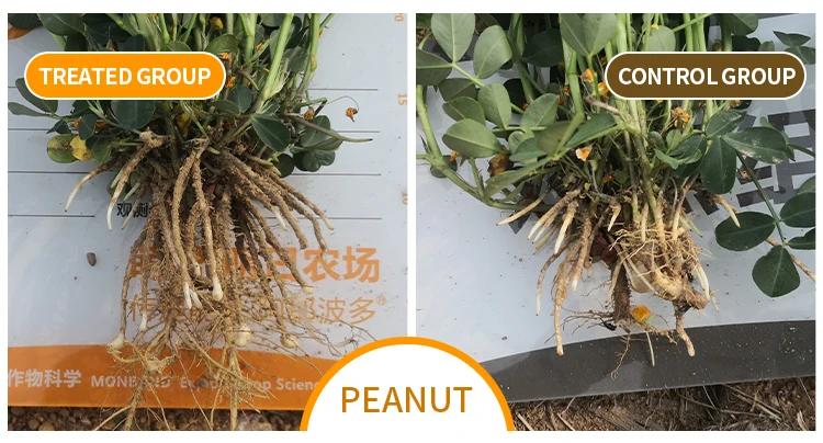 Fresh Functional Fertilizers - Liquid Soil Side Dressing