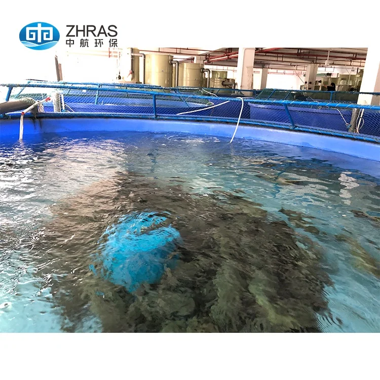 Indoor Recirculating Aquaculture System for Fish Farming