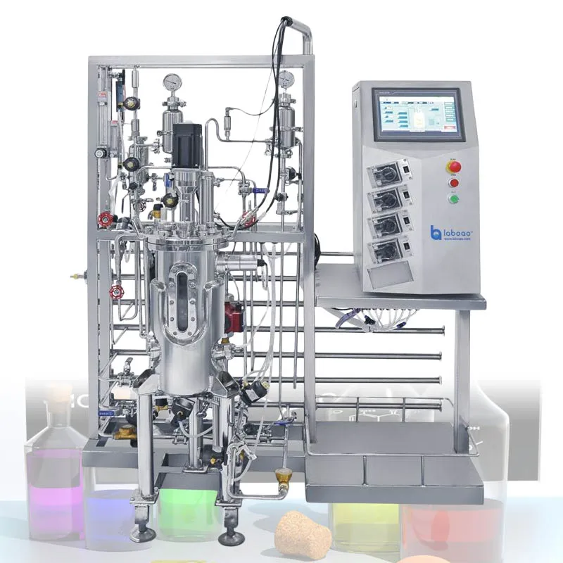 Laboao Anaerobic Membrane Bioreactor: Unveiling A New Era Of Biogas ...