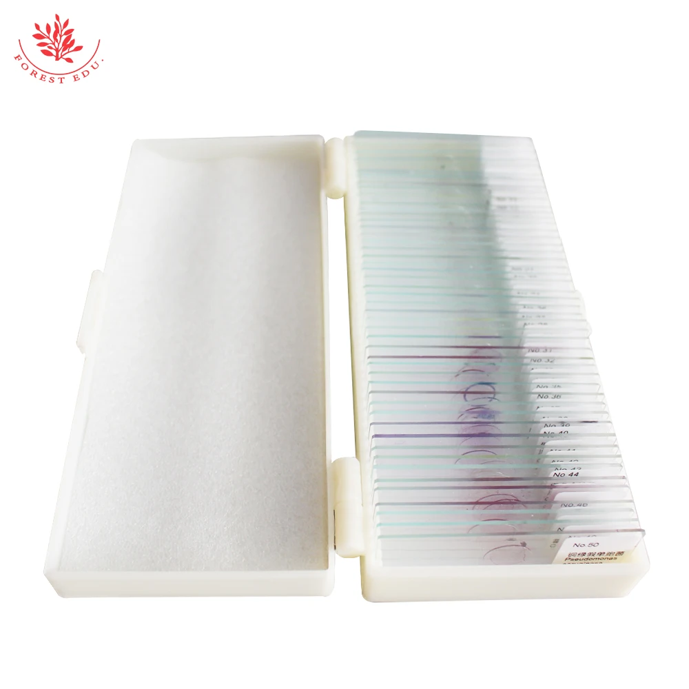 Biology School Supplies - 100 Items for Microscope Slides