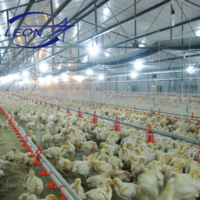 High Quality Easy Installation Automatic Chicken Farming Equipment for ...