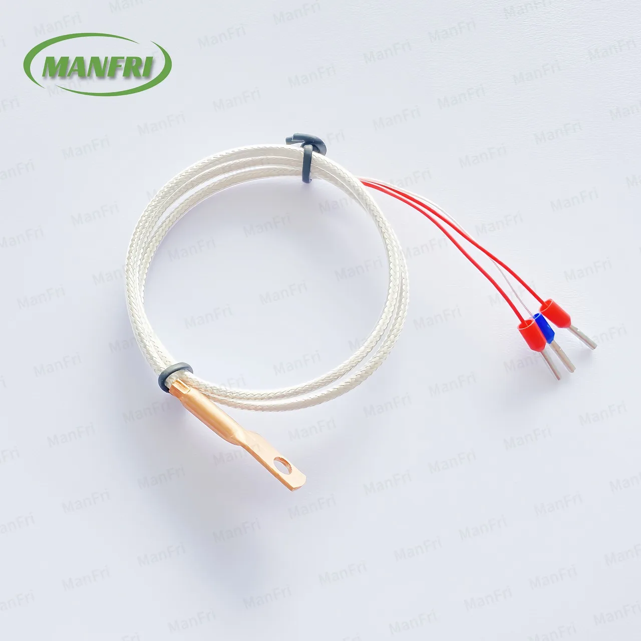 Customized RTD PT100 Temperature Sensor Class A with SUS304 SUS316 ...