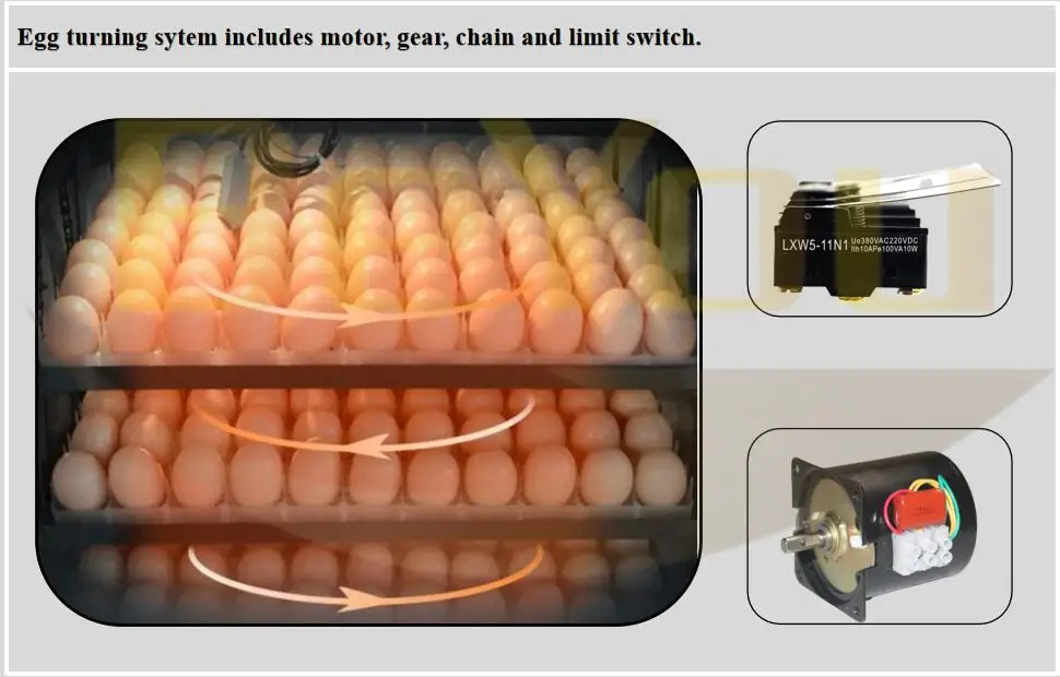 Automatic Reptile & Chicken Egg Incubator - Multifunctional Hatching ...