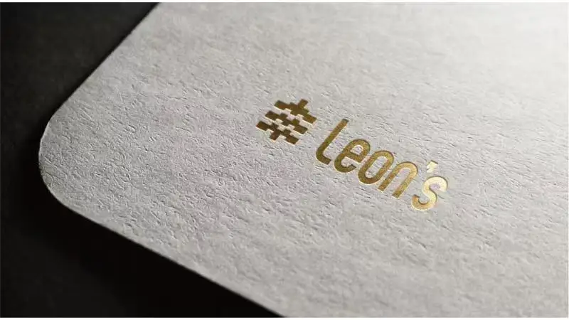 Company Overview - Wenzhou Leon's Trading Co., Ltd.