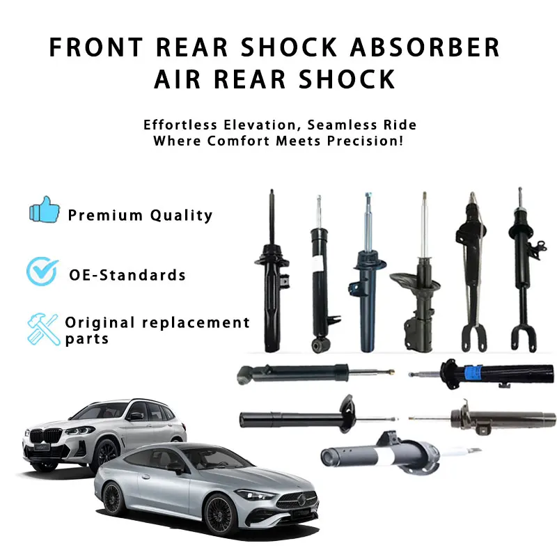 Car Front Rear Air Suspension Shock Absorbers for BMW X5 M2 F10 F30 E39 ...