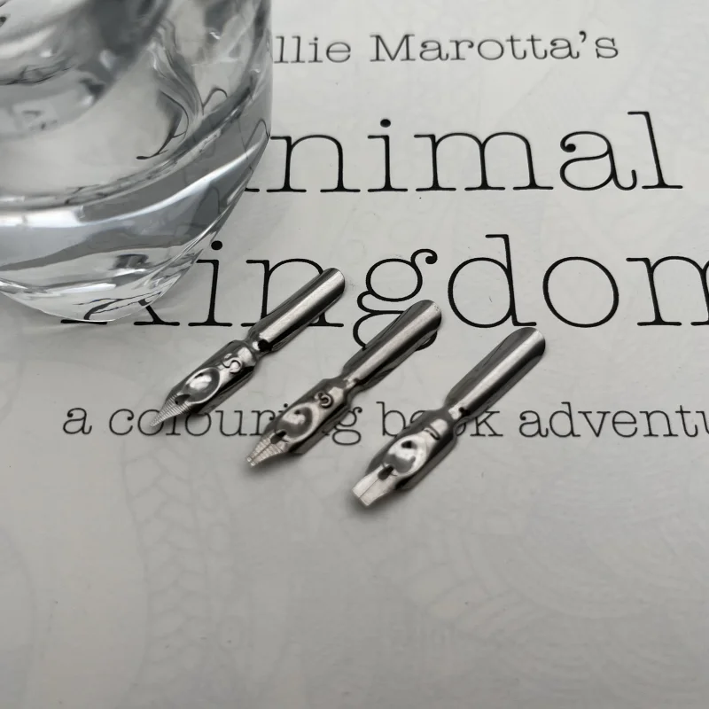 10 Piece Calligraphy Pen Set 1pen Holder 9 Nibs For Beginners Dip Pen ...