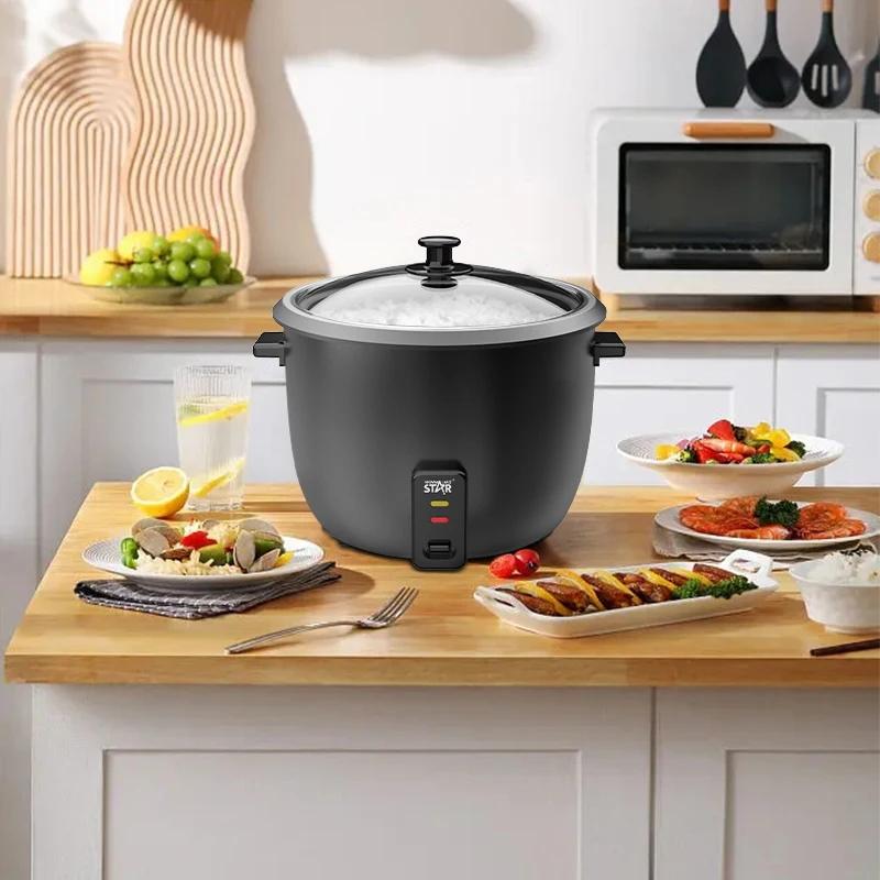 WINNING STAR 1000W Steamer Multicooker - Versatile Cooking