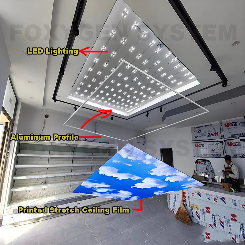 Modern 3D Starry Sky PVC False Ceiling Tiles for Living Room - OEM