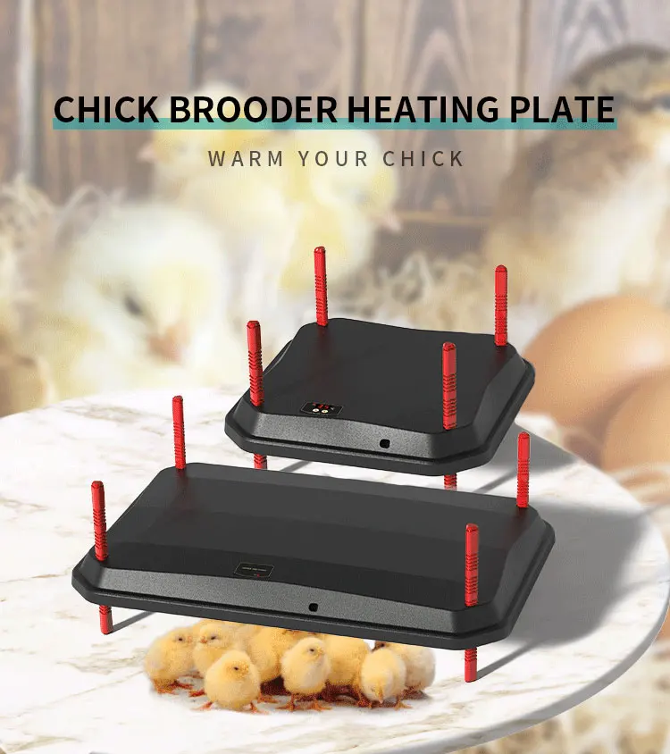 Chick Brooder Heating Plate Chicken Coop Heater 10" X 10* Poultry ...
