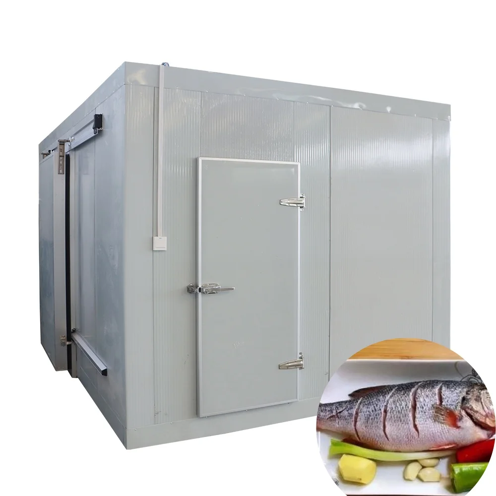 Blast freezer room meat storage freezer cold room walk in coolers Cold ...
