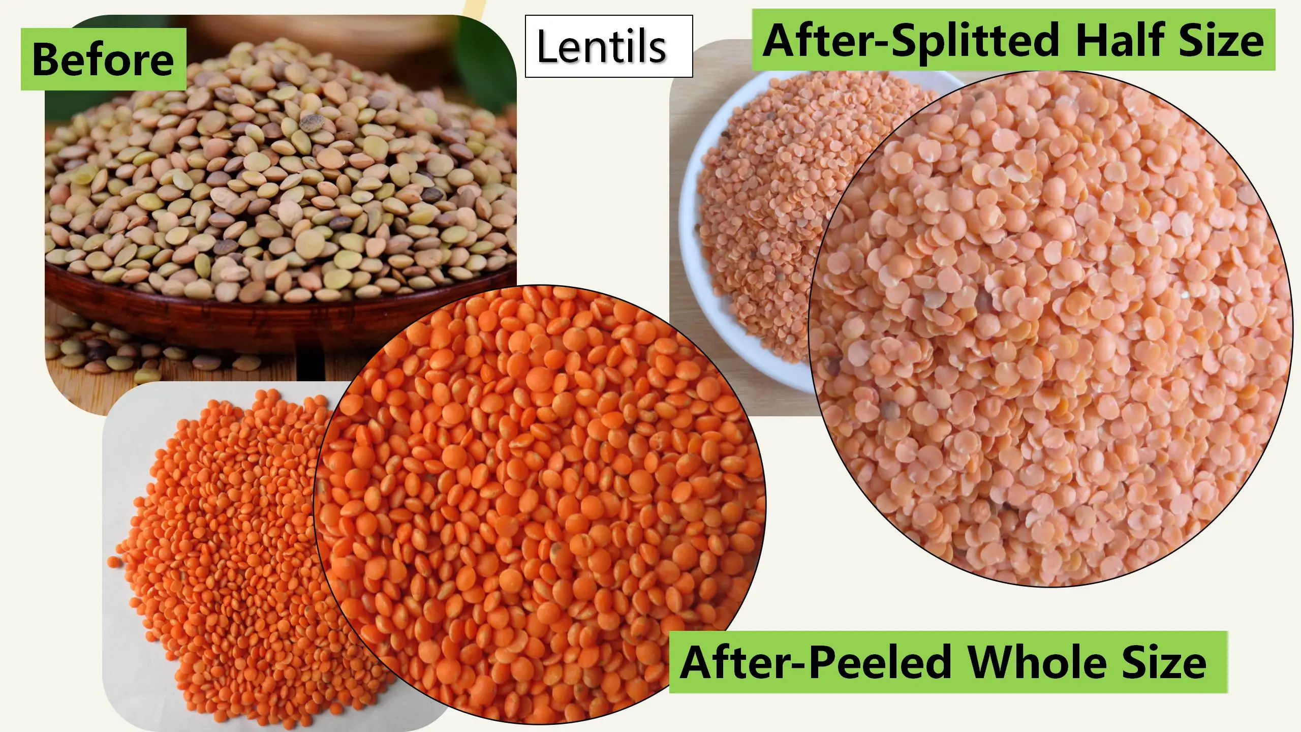 100tpd Lentil Mung Bean Black Gram Black Eyed Peas Chickpea Processing ...
