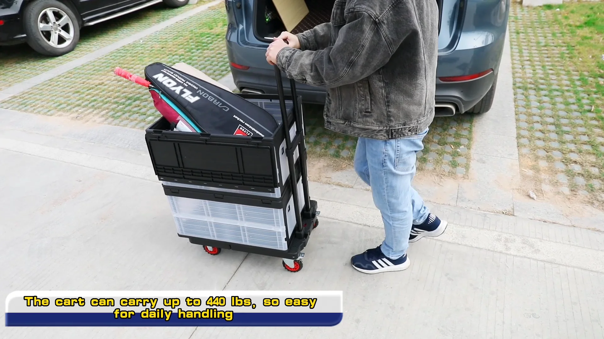 Baoyu Pp Carry Mobility Cart Dolly Folding Trolley Furniture Moving ...
